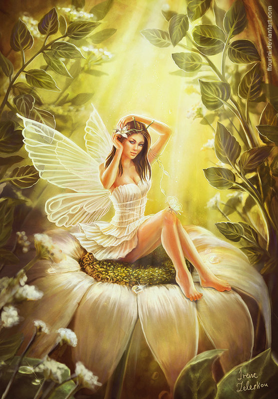 Pixie Forest | Lush Stories